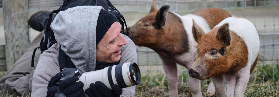Animals & Media – Giving Voice to the Voiceless